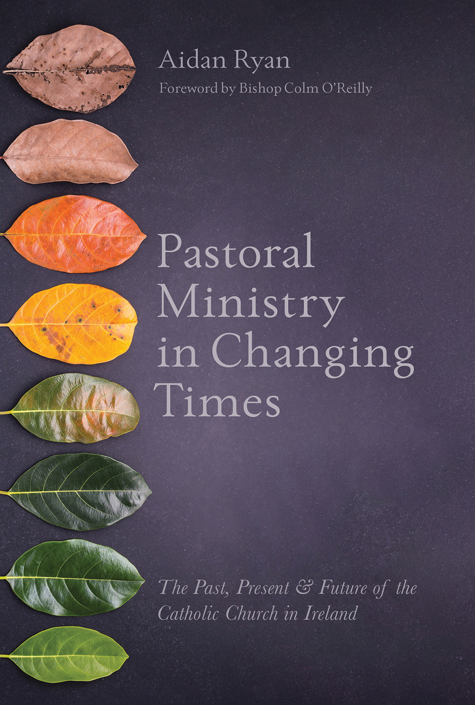 Pastoral Ministry in Changing Times – Messenger Publications
